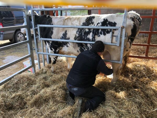 Bottle Jaw in Sheep and Goats | LLM Farm Vets